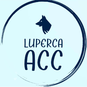 Luperca Accessories Özel Tasarım Ürün Modelleri ve Fiyatları - Miamano